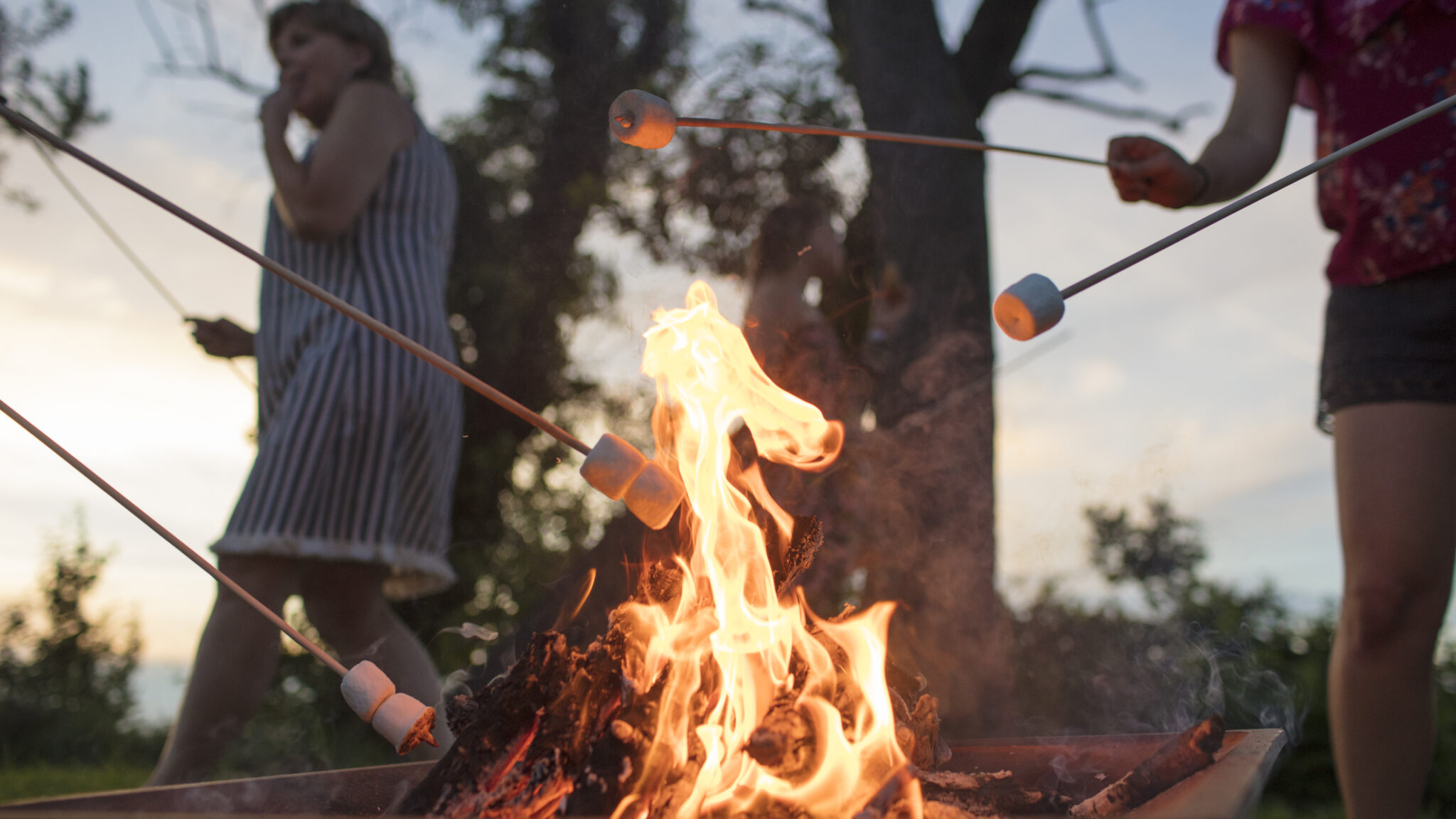 Photo Licensing & Usage Rights Agreement - Casey Templeton