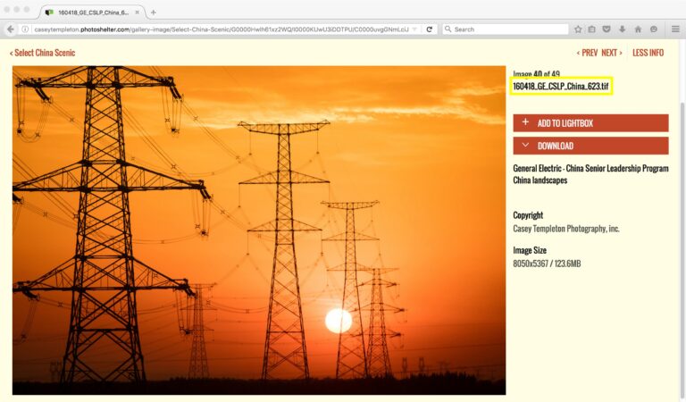 Image File Management: Naming Conventions and Folder Structure - Casey ...